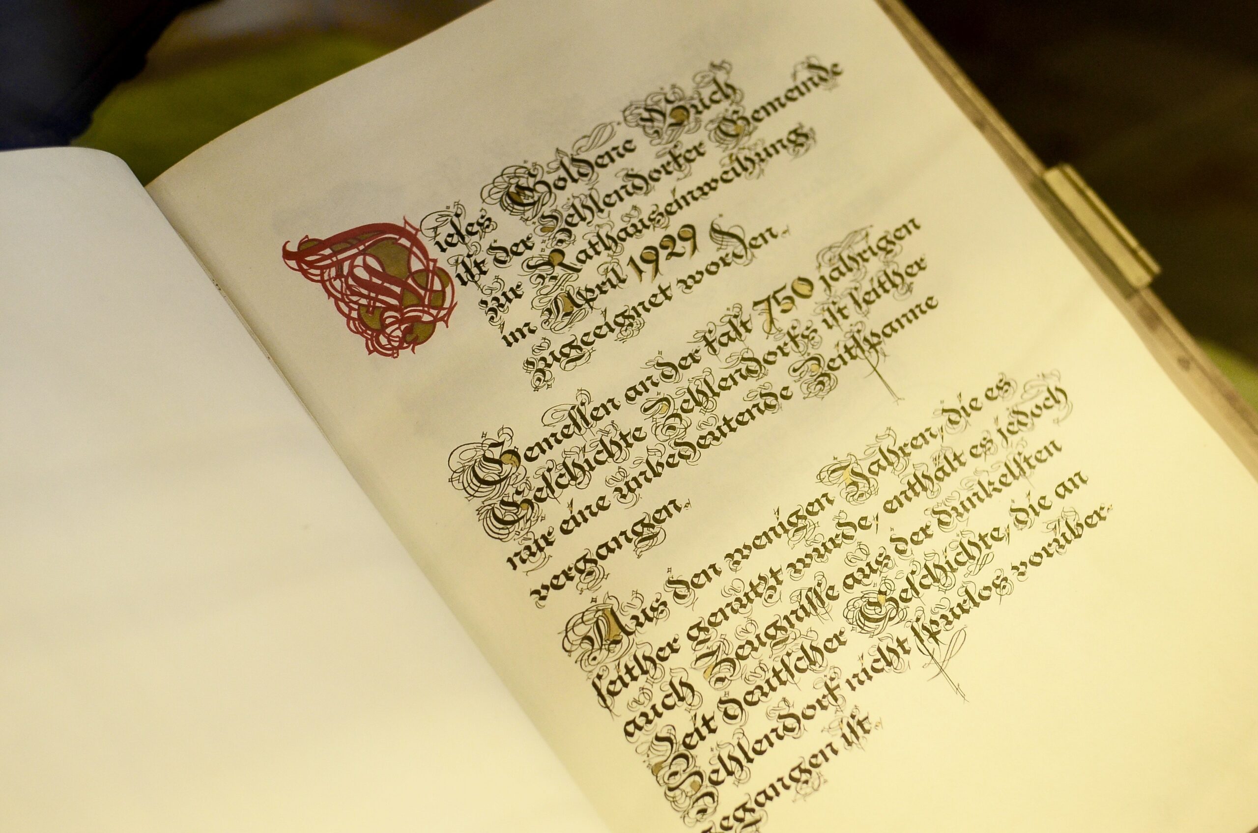 Le fonti: cosa sono e a cosa servono - ScuolaMania