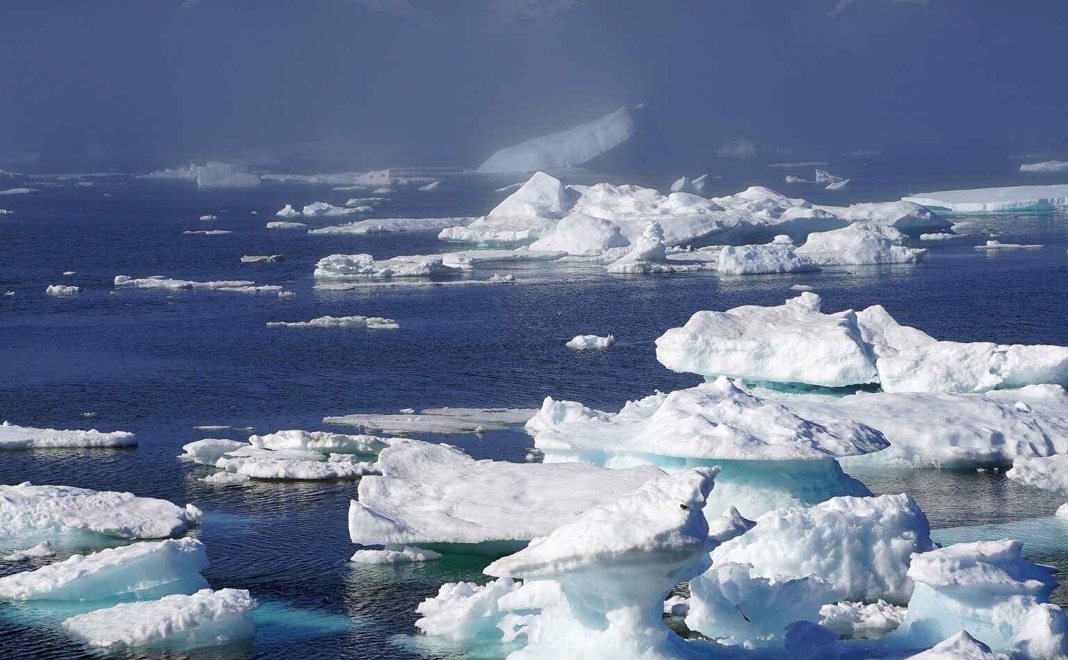 Le fasce climatiche - ScuolaMania